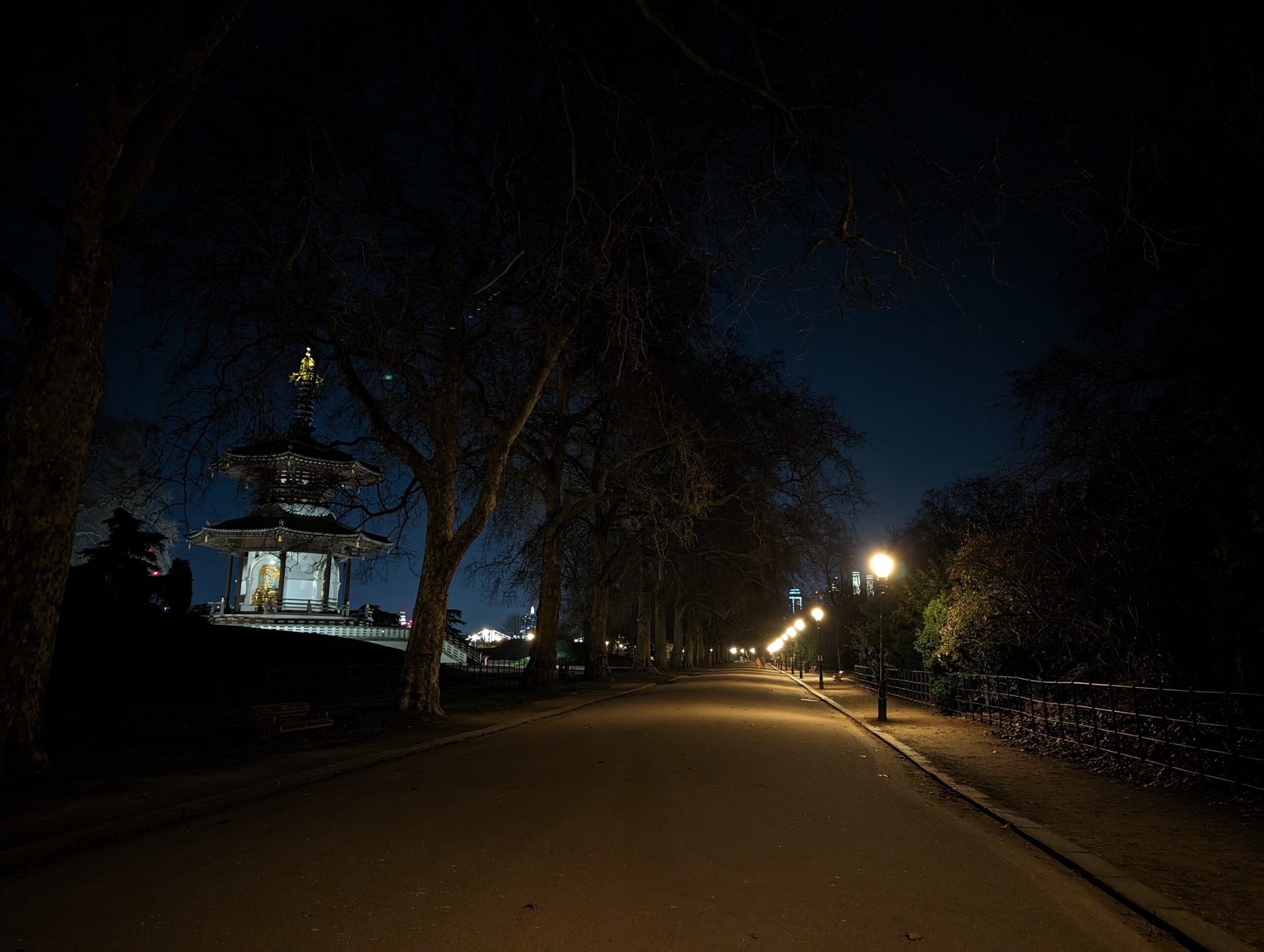 Battersea Park Night-O – 3rd February – South London Orienteers
