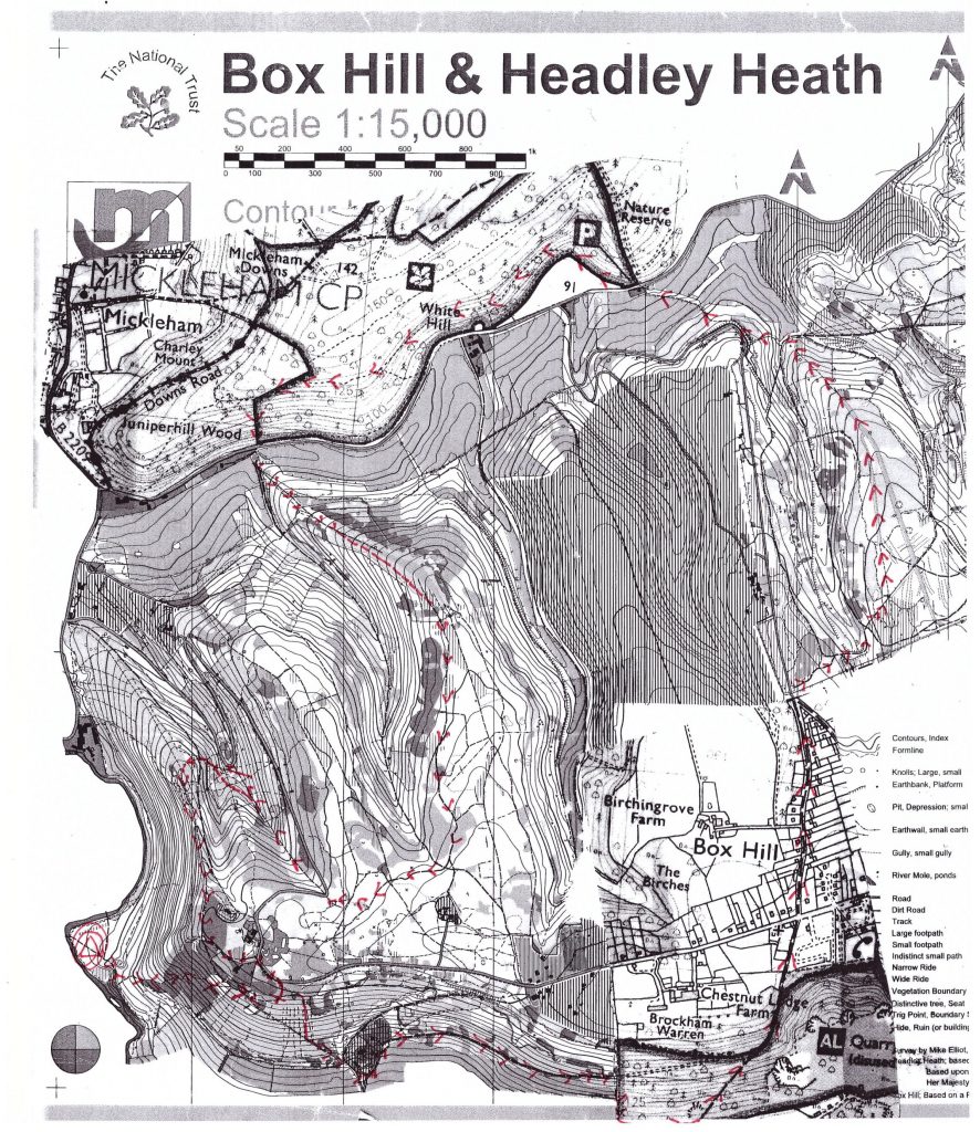 Box Hill Fell Race 2022 – South London Orienteers